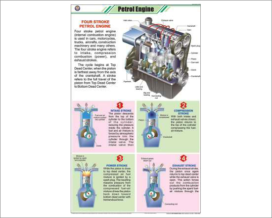 Physics Charts For Students, X-Ray Chart Exporter